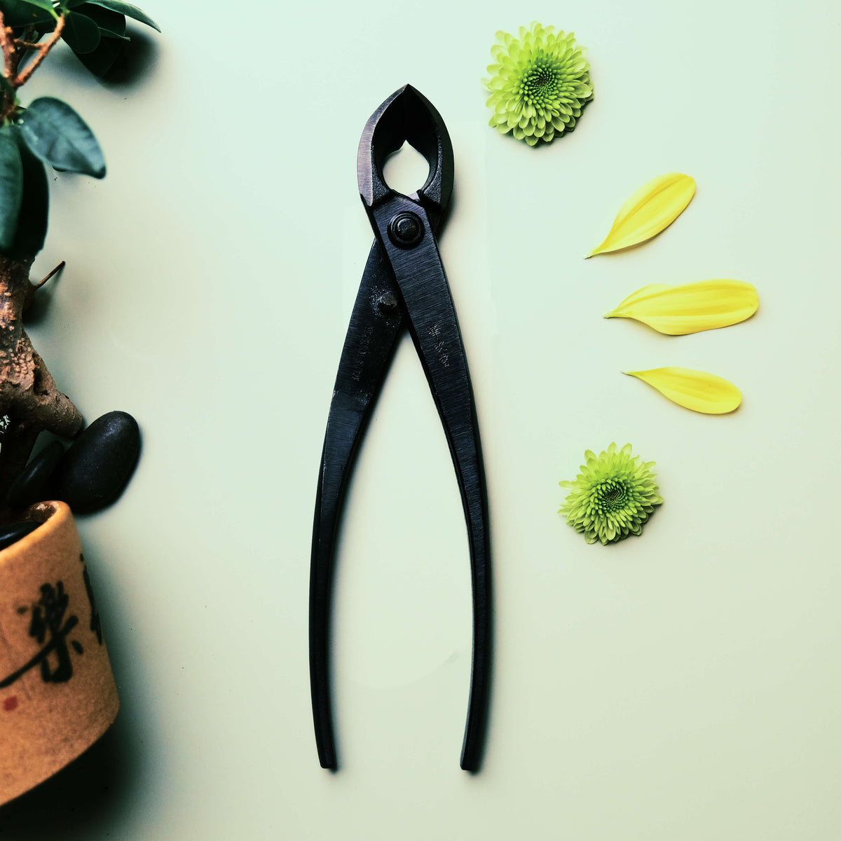 Concave Branch Cutter - 200mm – Japanese Tools Australia