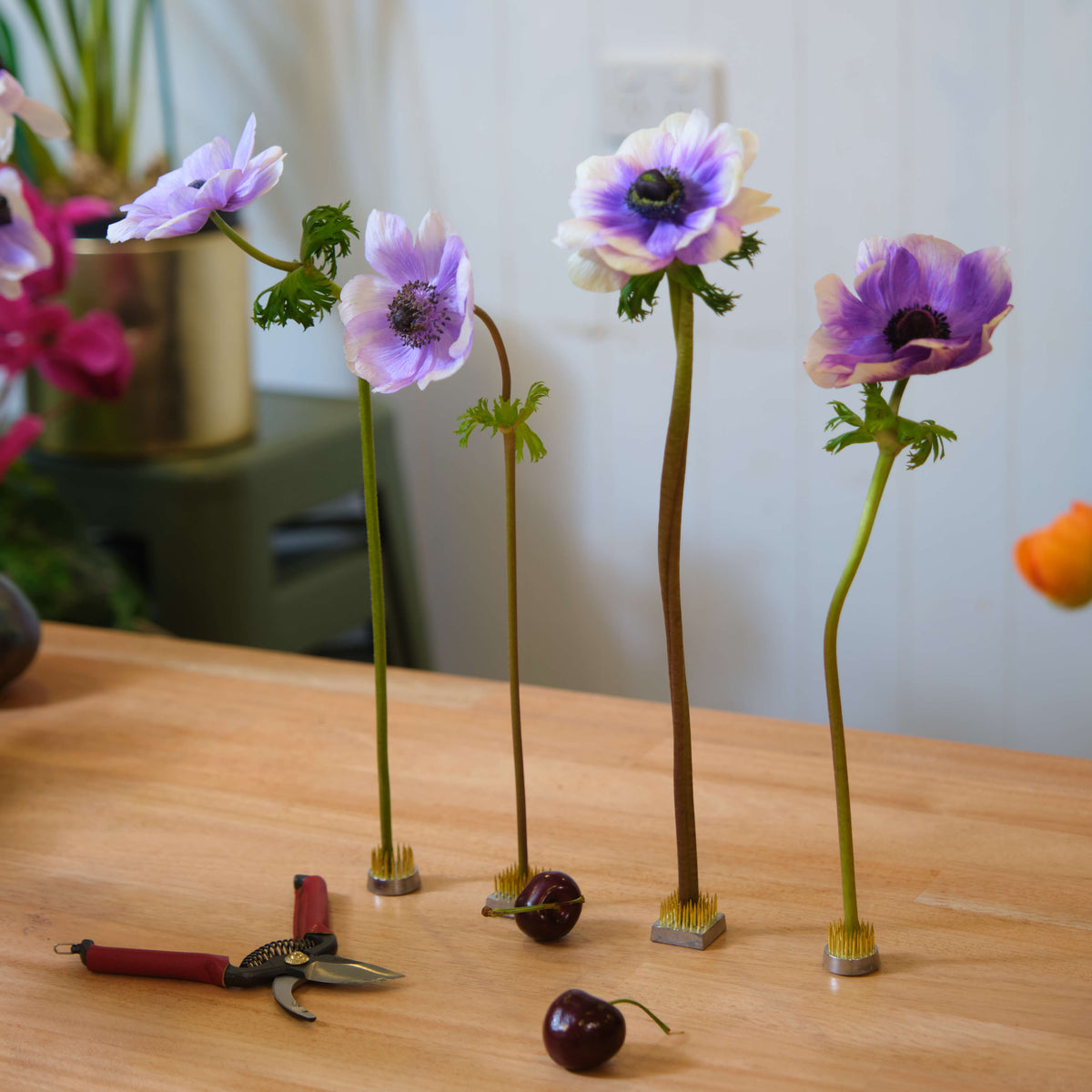 Ikebana Kenzan Mini 4 Piece Set – Japanese Tools Australia