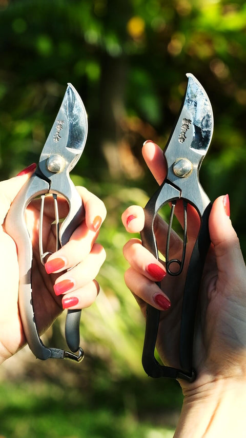 Maintaining your Secateurs – Japanese Tools Australia