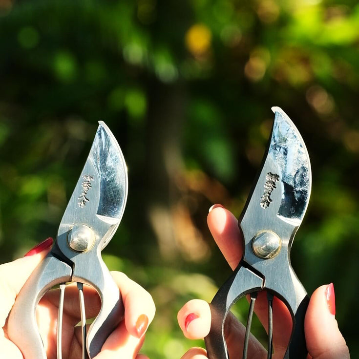 Maintaining your Secateurs – Japanese Tools Australia