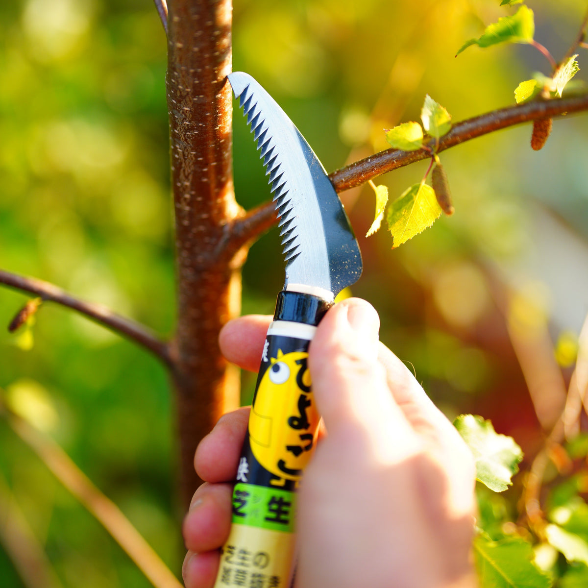 Gardening Sickles – Japanese Tools Australia